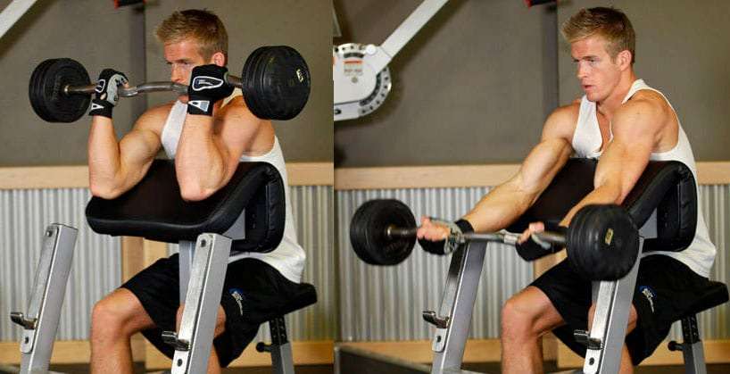 COMO FAZER ROSCA SCOTT DE FORMA CERTA, MELHORE SEUS BÍCEPS!! – Spartano ...