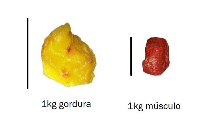 QUANTO TEMPO LEVA PARA PERDER 1KG DE GORDURA? – Spartano Suplementos